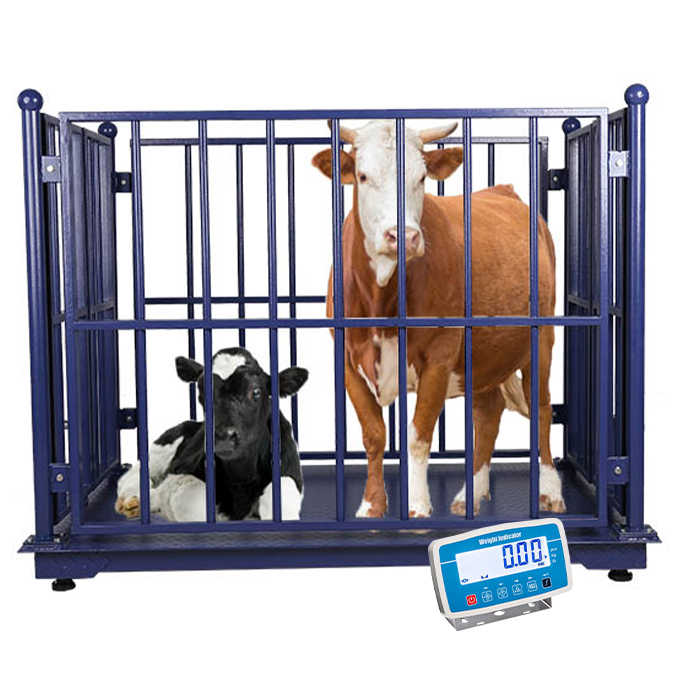 Digital Cattle Weighing Scale Livestock Weight System - Matrix Weighing ...