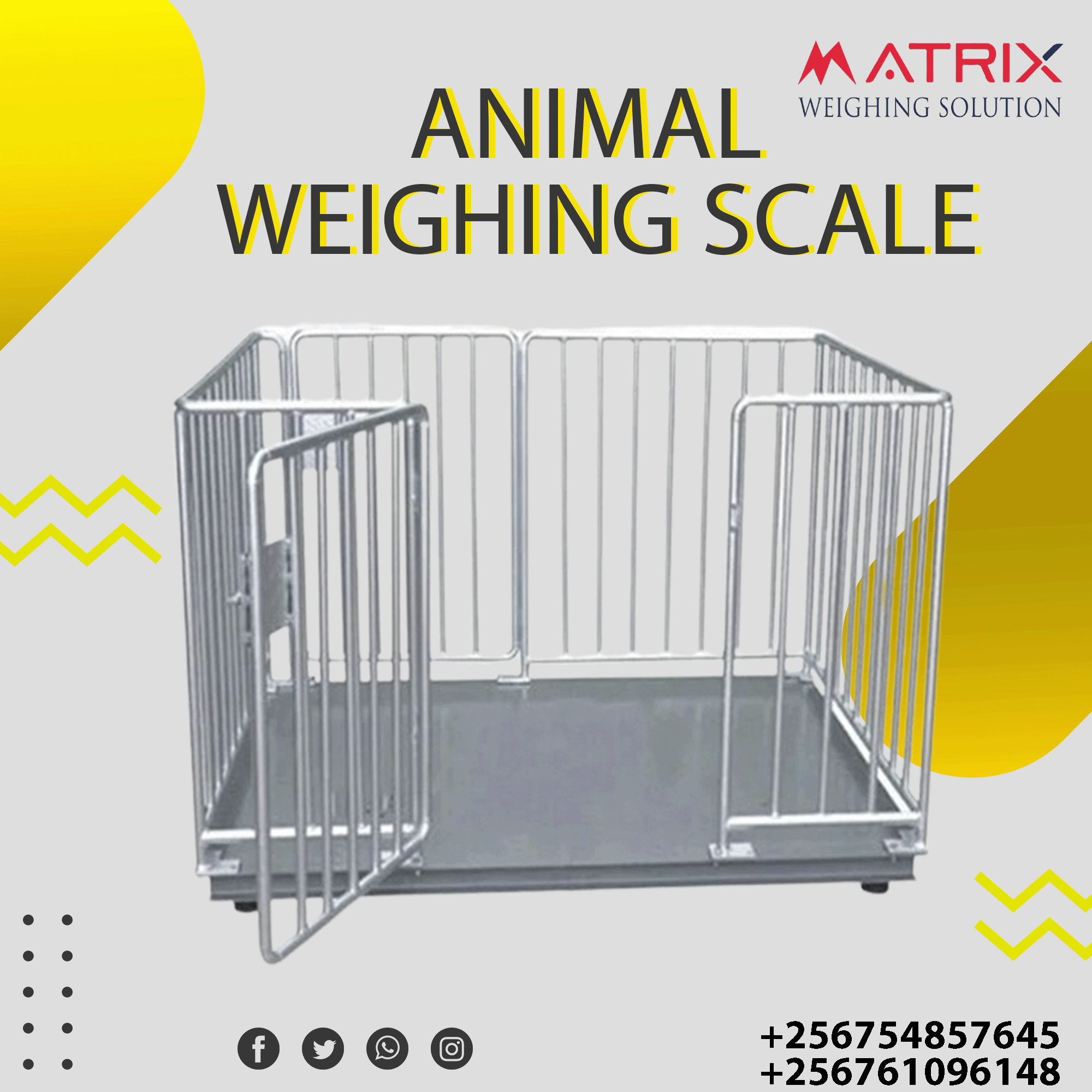 Electronic Cattle Animal Weighing Scale - Matrix Weighing Solutions